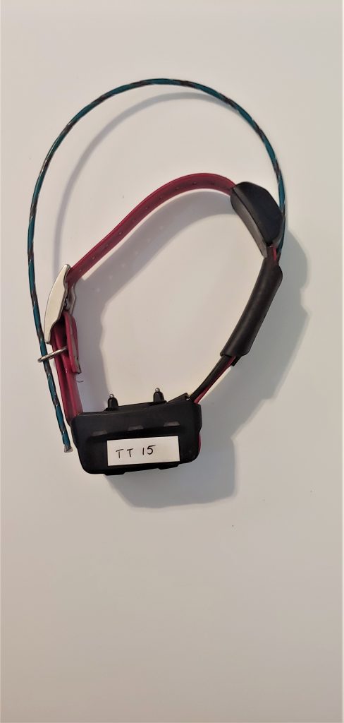 Used Garmin TT15 Collar - Native Dog Supply