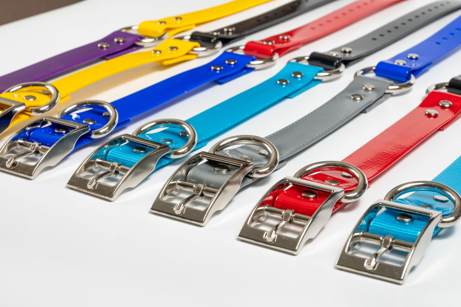 1" Two-Tone Solid D&O Collars - Native Dog Supply